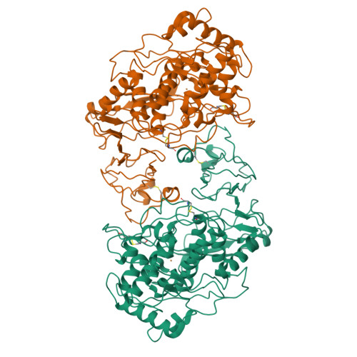 RCSB PDB - 3QJO: Refined Structure of the functional unit (KLH1-H) of ...