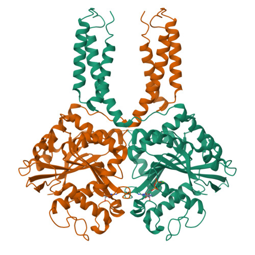RCSB PDB - 3QNU: Crystal structure of the cytosolic domain of human ...