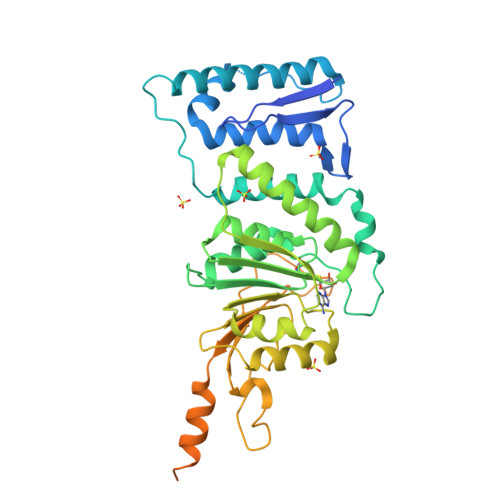 RCSB PDB - 3QOX: DOT1L structure in complex with SAH