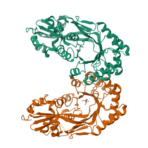 RCSB PDB - 3QPE: Crystal structure of Galacturonate Dehydratase from ...