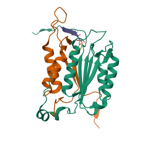 RCSB PDB - 3R6L: Caspase-2 T380A bound with Ac-VDVAD-CHO