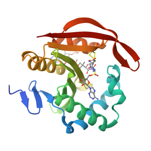 RCSB PDB - 3R9E: Crystal structure of Microcin C7 self immunity ...