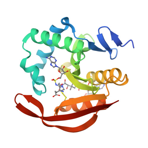 RCSB PDB - 3R9F: Crystal structure of Microcin C7 self immunity ...