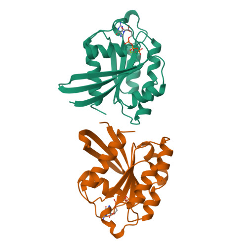 RCSB PDB - 3RAP: The small G protein Rap2 in a non catalytic complex ...