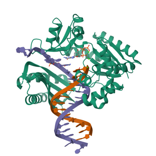 RCSB PDB - 3RB3: Dpo4 extension ternary complex with 3'-terminal primer ...