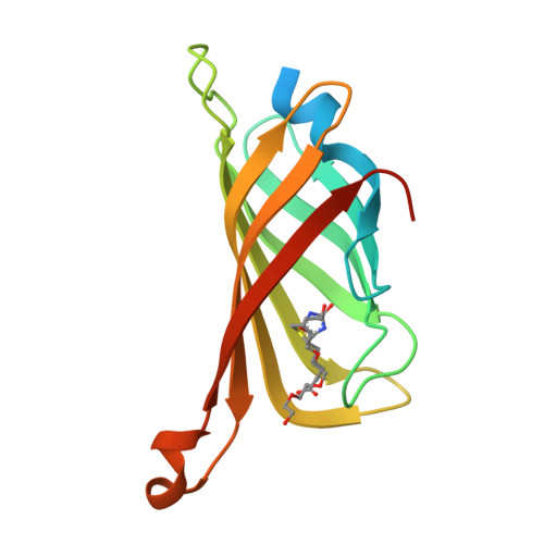 RCSB PDB - 3RDM: Crystal structure of R7-2 streptavidin complexed with ...