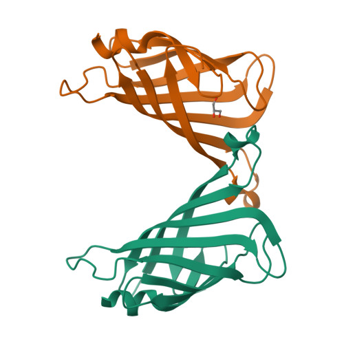 RCSB PDB - 3RDX: Crystal structure of ligand-free R7-2 streptavidin
