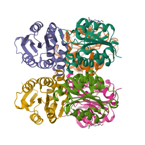 RCSB PDB - 3RFQ: Crystal structure of Pterin-4-alpha-carbinolamine ...