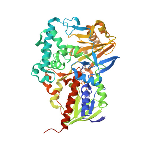 RCSB PDB - 3RHA: The crystal structure of Oxidoreductase from ...
