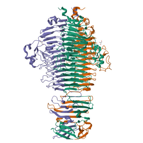 RCSB PDB - 3RIQ: Siphovirus 9NA tailspike receptor binding domain