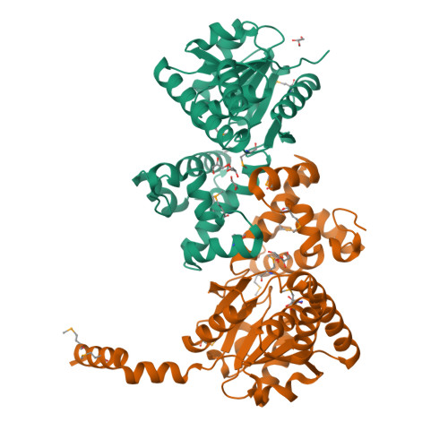 RCSB PDB - 3RQS: Crystal Structure of human L-3- Hydroxyacyl-CoA ...