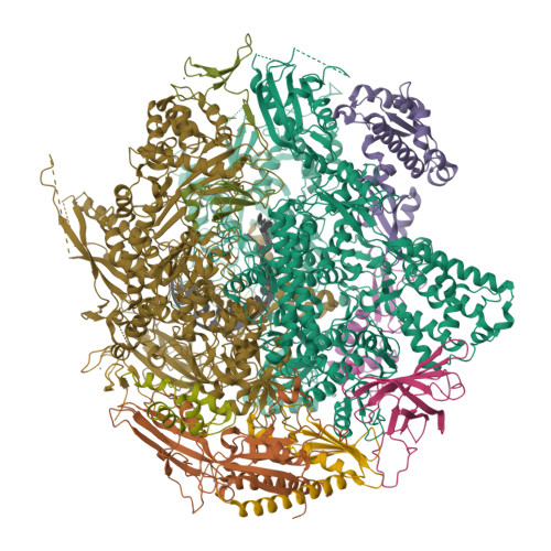 RCSB PDB - 3S14: RNA Polymerase II Initiation Complex with a 6-nt RNA