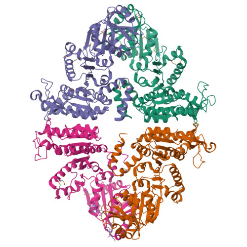 RCSB PDB - 3S6G: Crystal structures of Seleno-substituted mutant mmNAGS ...