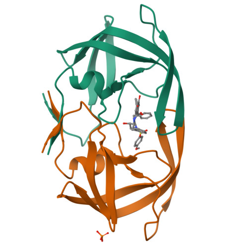 RCSB PDB - 3SAB: Crystal structure of wild-type HIV-1 protease in ...