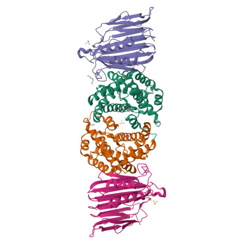 RCSB PDB - 3SF5: Crystal Structure of Helicobacter pylori Urease ...
