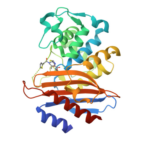 RCSB PDB - 3SH8: Crystal structure of fluorophore-labeled beta ...