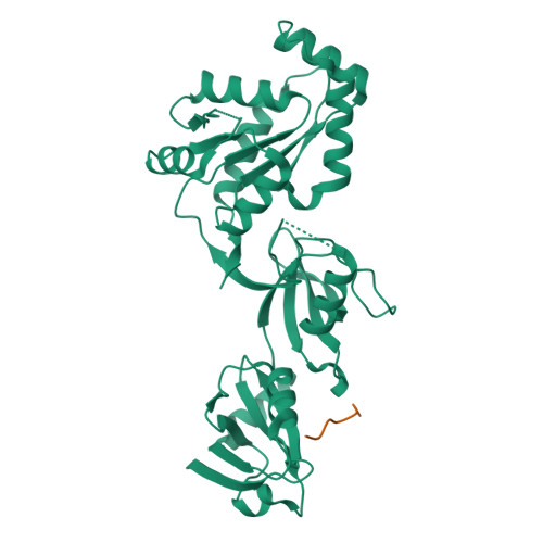 RCSB PDB - 3SHW: Crystal structure of ZO-1 PDZ3-SH3-Guk supramodule ...