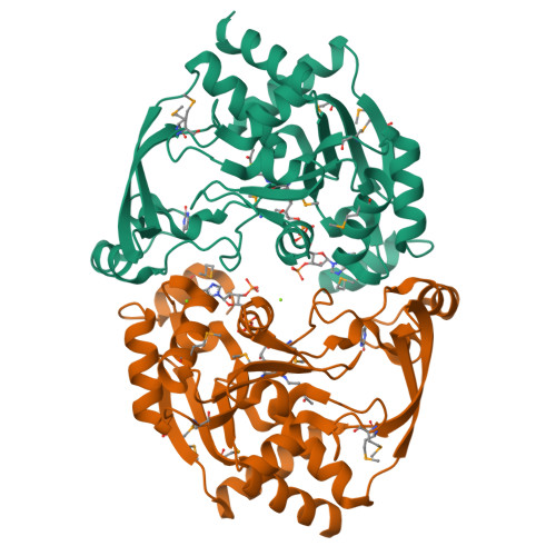RCSB PDB - 3SLB: Crystal structure of BA2930 in complex with AcCoA and ...