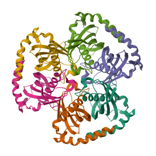 RCSB PDB - 3SPS: Crystal Structure of Apo-Hexameric Acyl-CoA Thioesterase