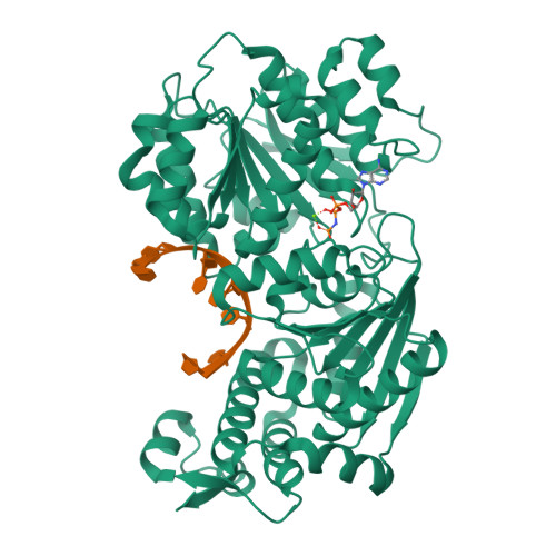 RCSB PDB - 3SQW: Structure of Mss116p (NTE deletion) bound to ssRNA and ...