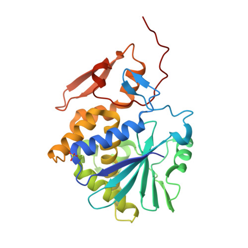 RCSB PDB - 3SRP: Structure of Rivax: A Human Ricin Vaccine