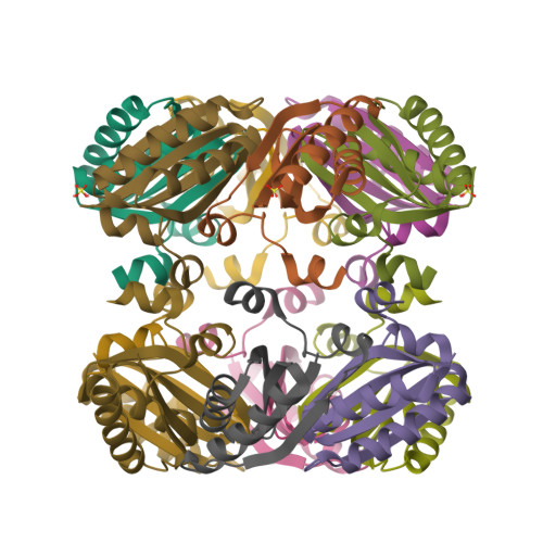 RCSB PDB - 3SSR: CcmK2 dodecamer - form 2