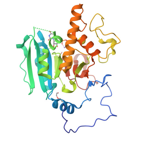 RCSB PDB - 3SXD: Crystal structure of BBBB+UDP+Gal with MPD as the ...