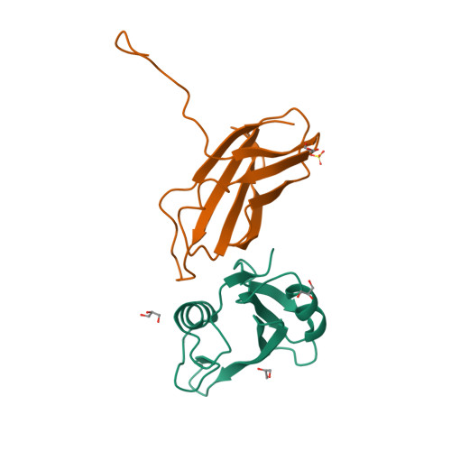 RCSB PDB - 3T04: Crystal structure of monobody 7c12/abl1 sh2 domain complex