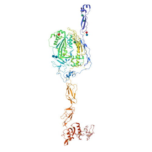 RCSB PDB - 3T5O: Crystal Structure of human Complement Component C6