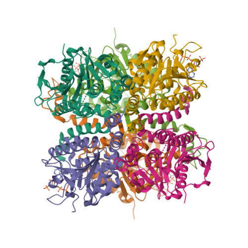 RCSB PDB - 3T8A: Crystal structure of Mycobacterium tuberculosis MenB ...