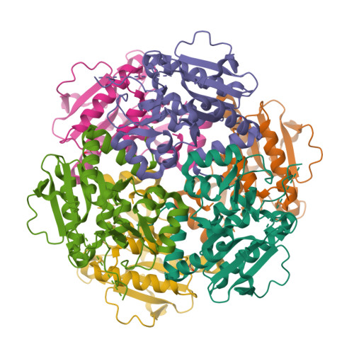 RCSB PDB - 3T8B: Crystal structure of Mycobacterium tuberculosis MenB ...