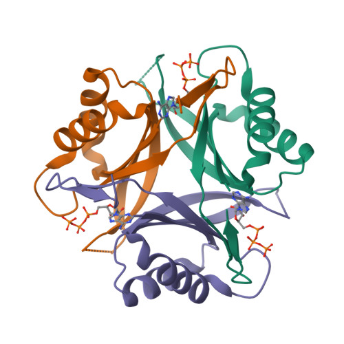 RCSB PDB - 3TA0: A. fulgidus GlnK3, MgATP complex