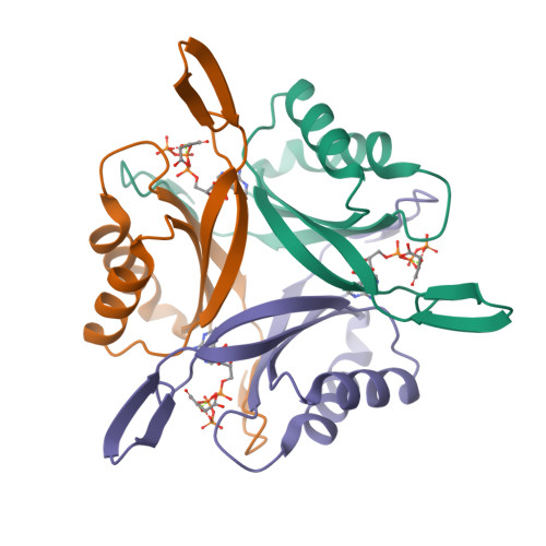 RCSB PDB - 3TA2: A. fulgidus GlnK3, MgATP/2-OG complex