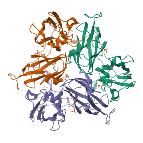 RCSB PDB - 3TBC: Small laccase from Streptomyces viridosporus T7A ...