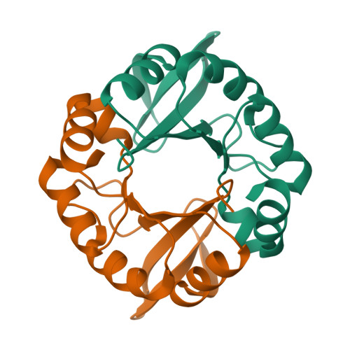 RCSB PDB - 3TDN: Computationally designed two-fold symmetric Tim-barrel ...