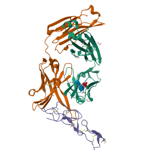 RCSB PDB - 3THM: Crystal structure of Fas receptor extracellular domain ...