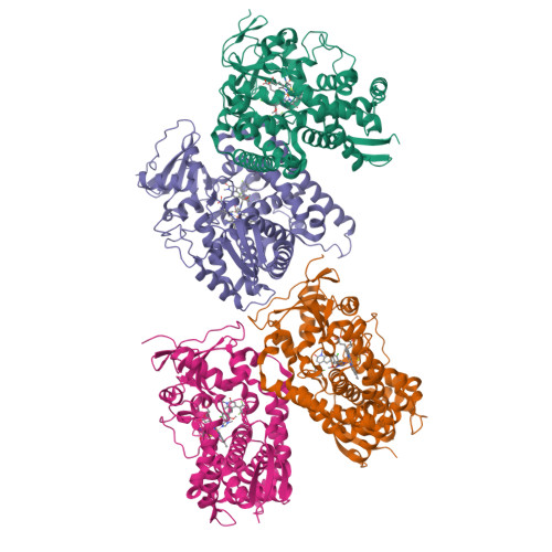 RCSB PDB - 3TIK: Sterol 14-alpha demethylase (CYP51) from Trypanosoma ...
