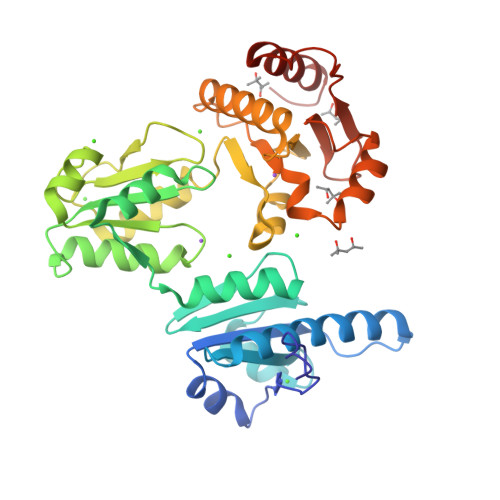 RCSB PDB - 3TRP: Crystal structure of recombinant rabbit skeletal ...