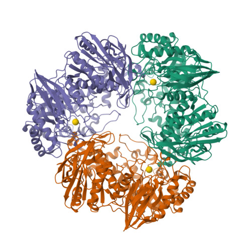 RCSB PDB - 3TTY: Crystal structure of beta-galactosidase from Bacillus ...