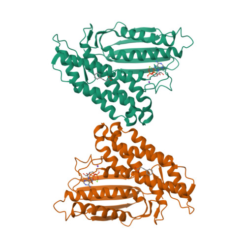RCSB PDB - 3TZ5: Crystal structure of branched-chain alpha-ketoacid ...