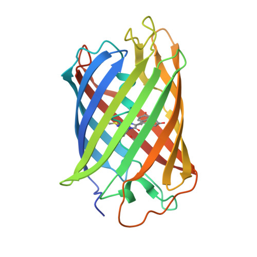 RCSB PDB - 3U0L: Crystal structure of the engineered fluorescent protein mRuby, crystal form 1 ...