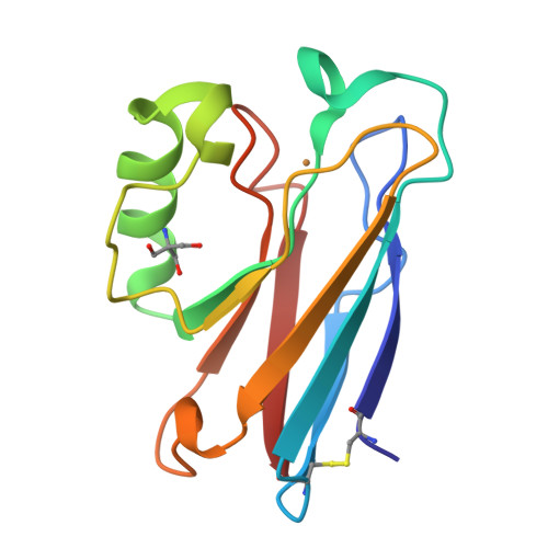 RCSB PDB - 3U25: Crystal structure of P. aeruginoas azurin containing a ...