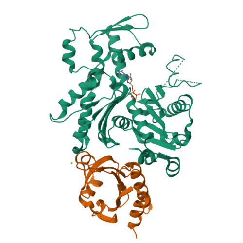 RCSB PDB - 3U4L: Cryocooled bovine profilin:actin crystal structure to ...