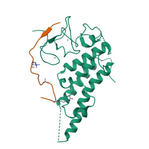 RCSB PDB - 3U5O: Crystal structure of the complex of TRIM33 PHD-Bromo ...