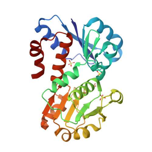 RCSB PDB - 3U62: Crystal structure of shikimate dehydrogenase from ...