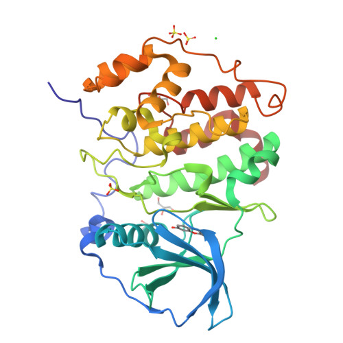 RCSB PDB - 3U9C: Structure of a C-terminal deletion mutant of human protein kinase CK2 catalytic ...