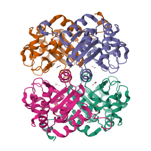RCSB PDB - 3UAO: Structure and Catalytic Mechanism of the Vitamin B3 ...