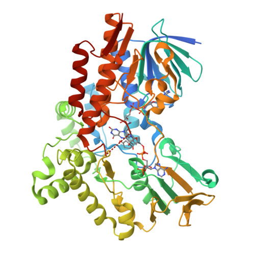 RCSB PDB - 3UCL: Cyclohexanone-bound crystal structure of cyclohexanone ...