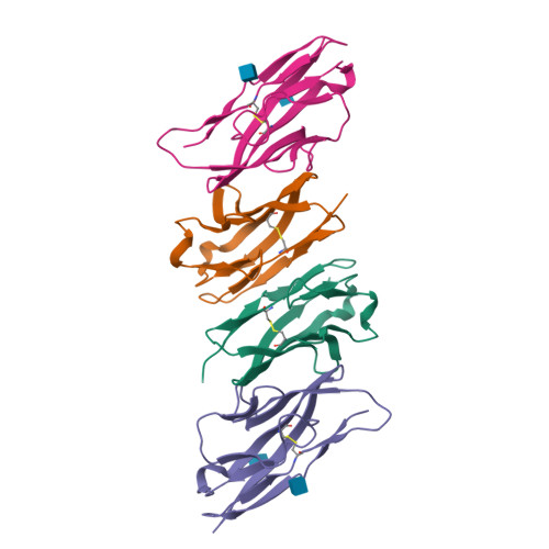 RCSB PDB - 3UDW: Crystal structure of the immunoreceptor TIGIT in ...