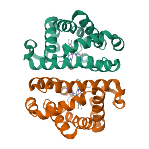 RCSB PDB - 3UHW: HBI (N79A) deoxy